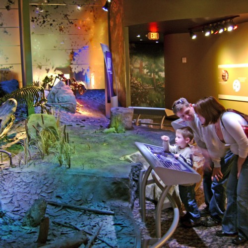 Gray Fossil Site - Official Page | Pictures